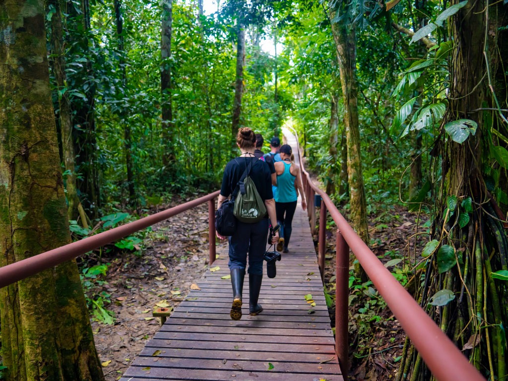 Wellness & Rewilding in Ecuador’s Amazon Rainforest